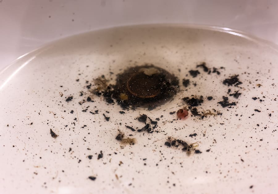 Pro Tips to Busting Shower Drain Clogs – X-Pipe