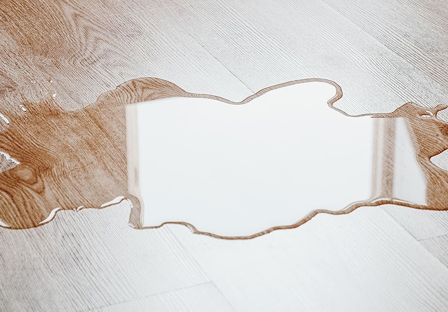 Four Easy Tips for Finding Toilet Leaks – X-Pipe